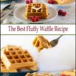 The Best Fluffy Waffle Recipe - Seasoned Sprinkles