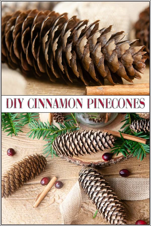 How to Make Cinnamon Pine Cones - Seasoned Sprinkles