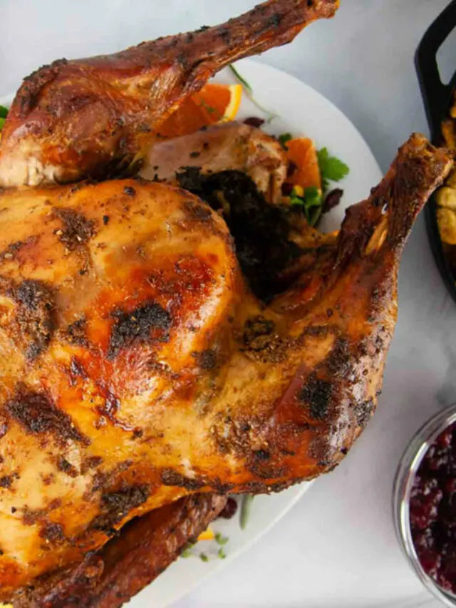 Baste for a Turkey - Seasoned Sprinkles