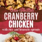 Festive Easy Cranberry Chicken and Rice Skillet - Seasoned Sprinkles