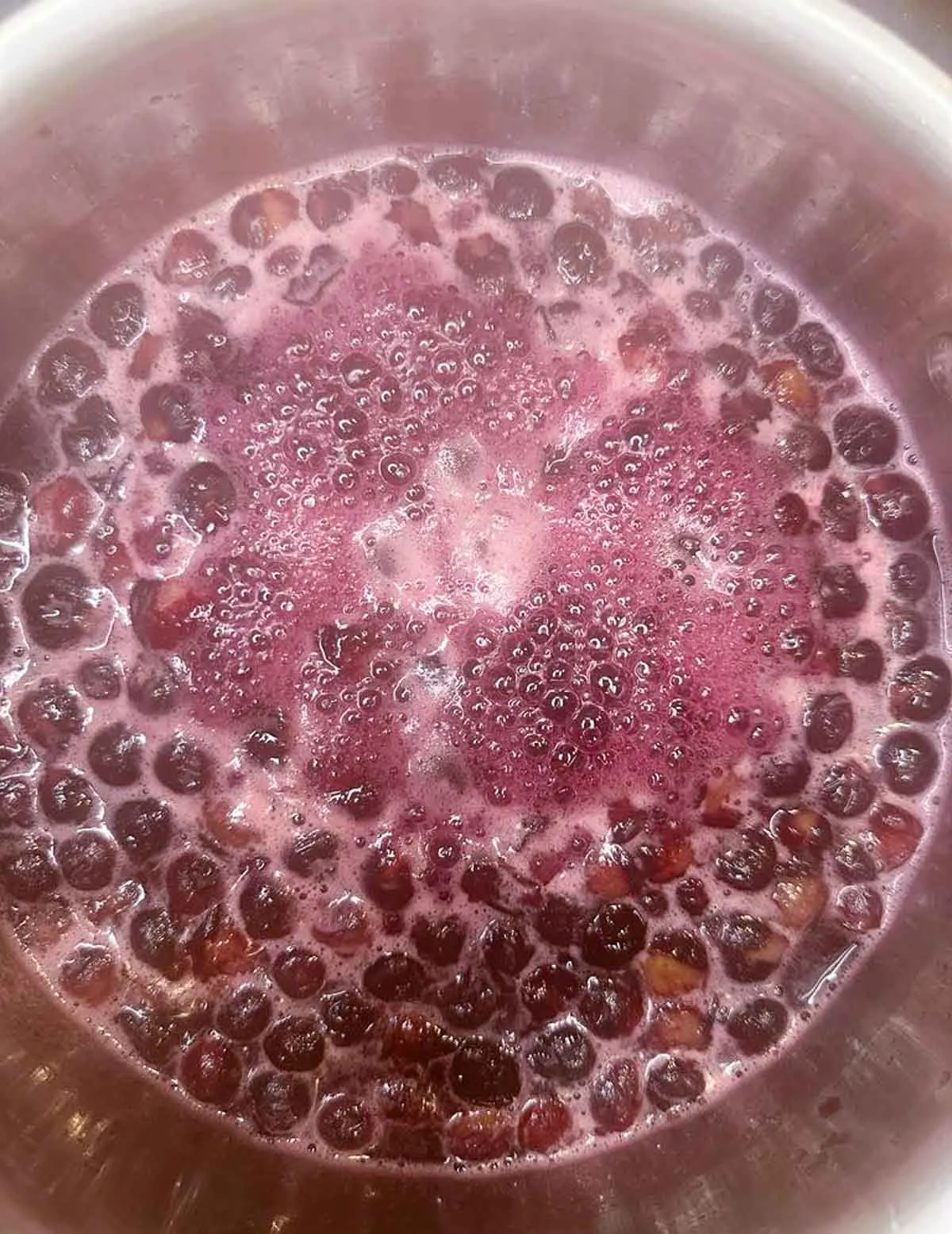 Blueberry Simple Syrup Recipe - Seasoned Sprinkles