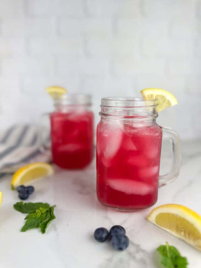 Easy to Make Blueberry Lemonade - Seasoned Sprinkles
